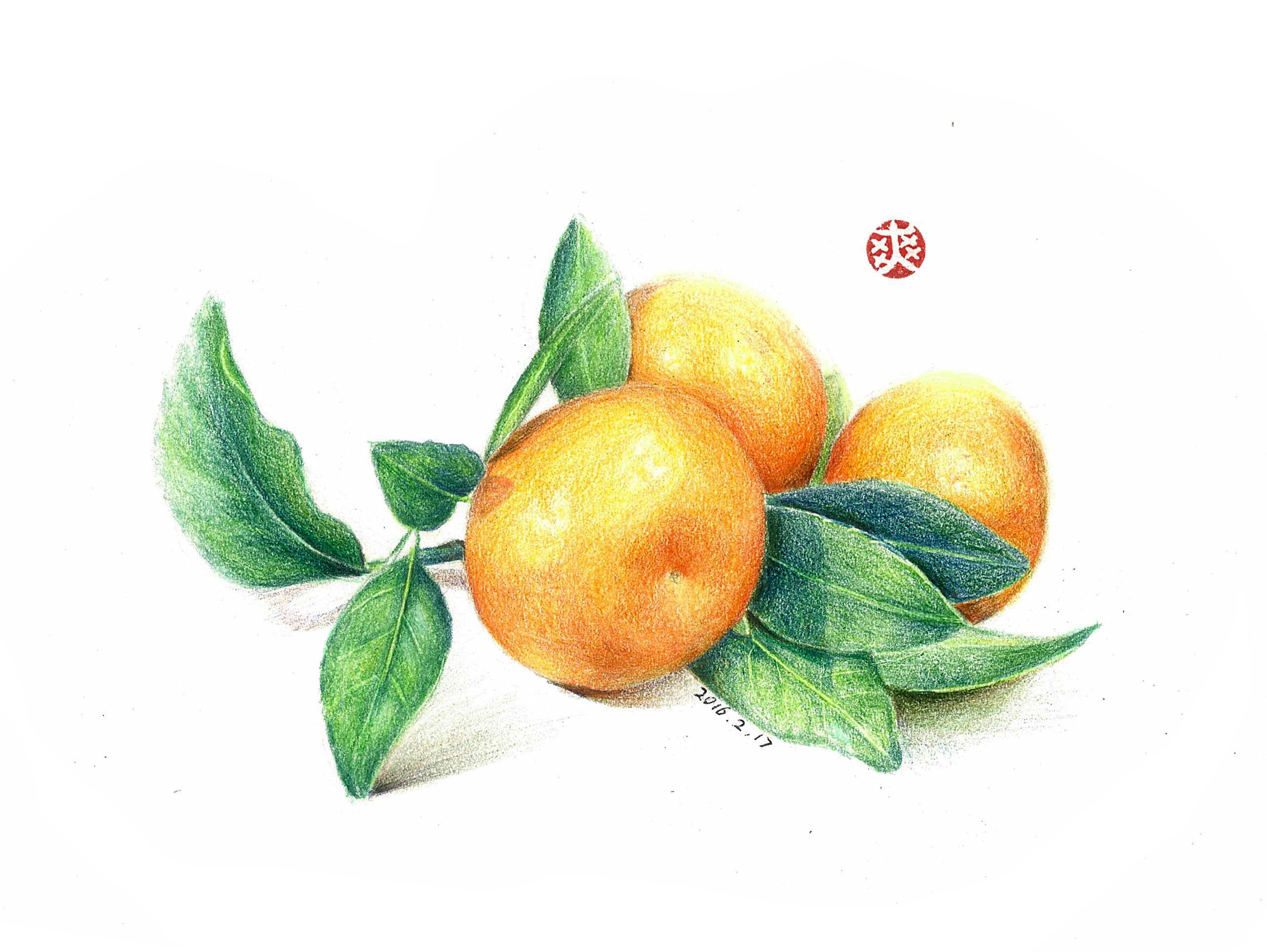 桔子红了_菜菜小白zxs-站酷ZCOOL