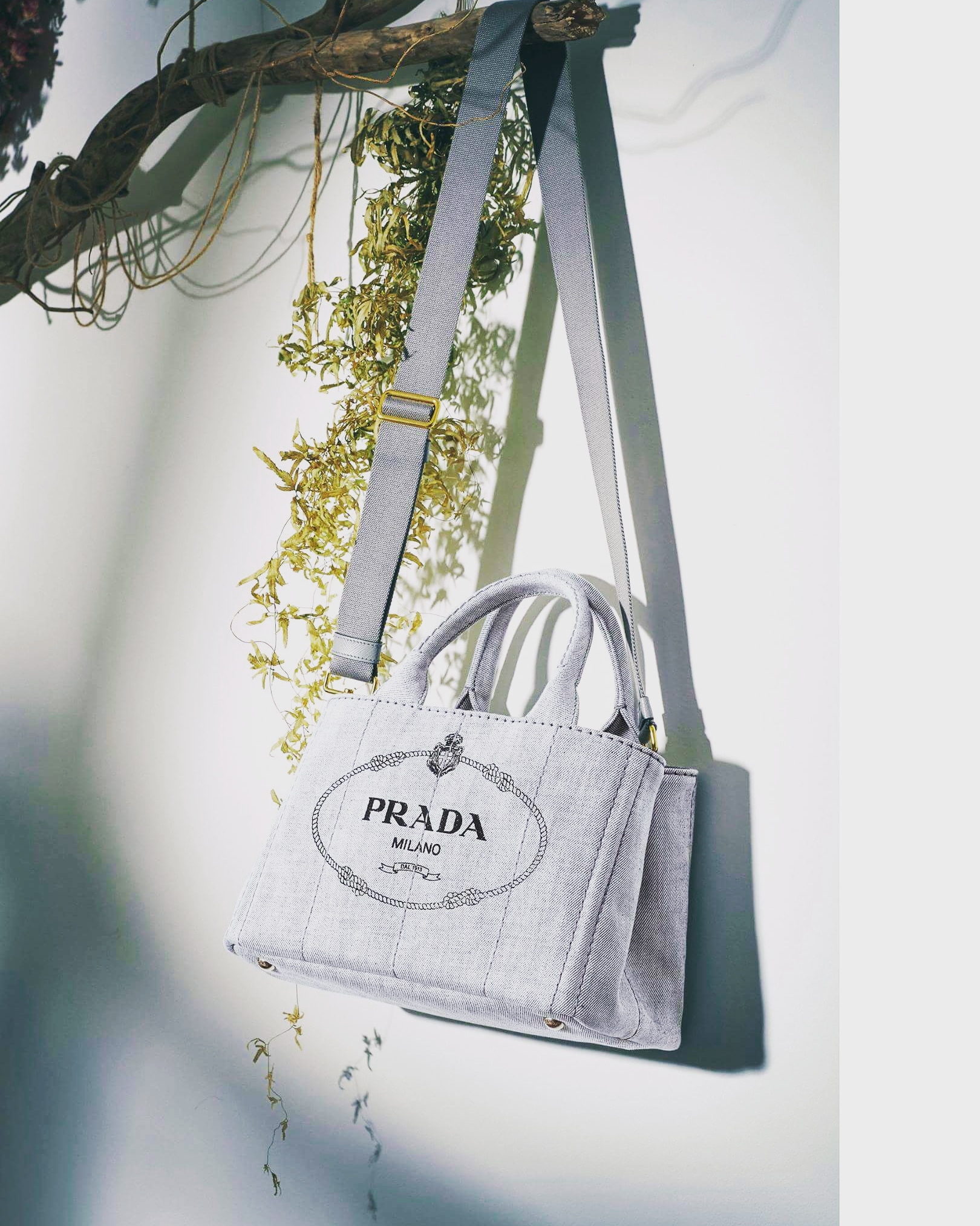 Prada_李氏庭院-站酷ZCOOL