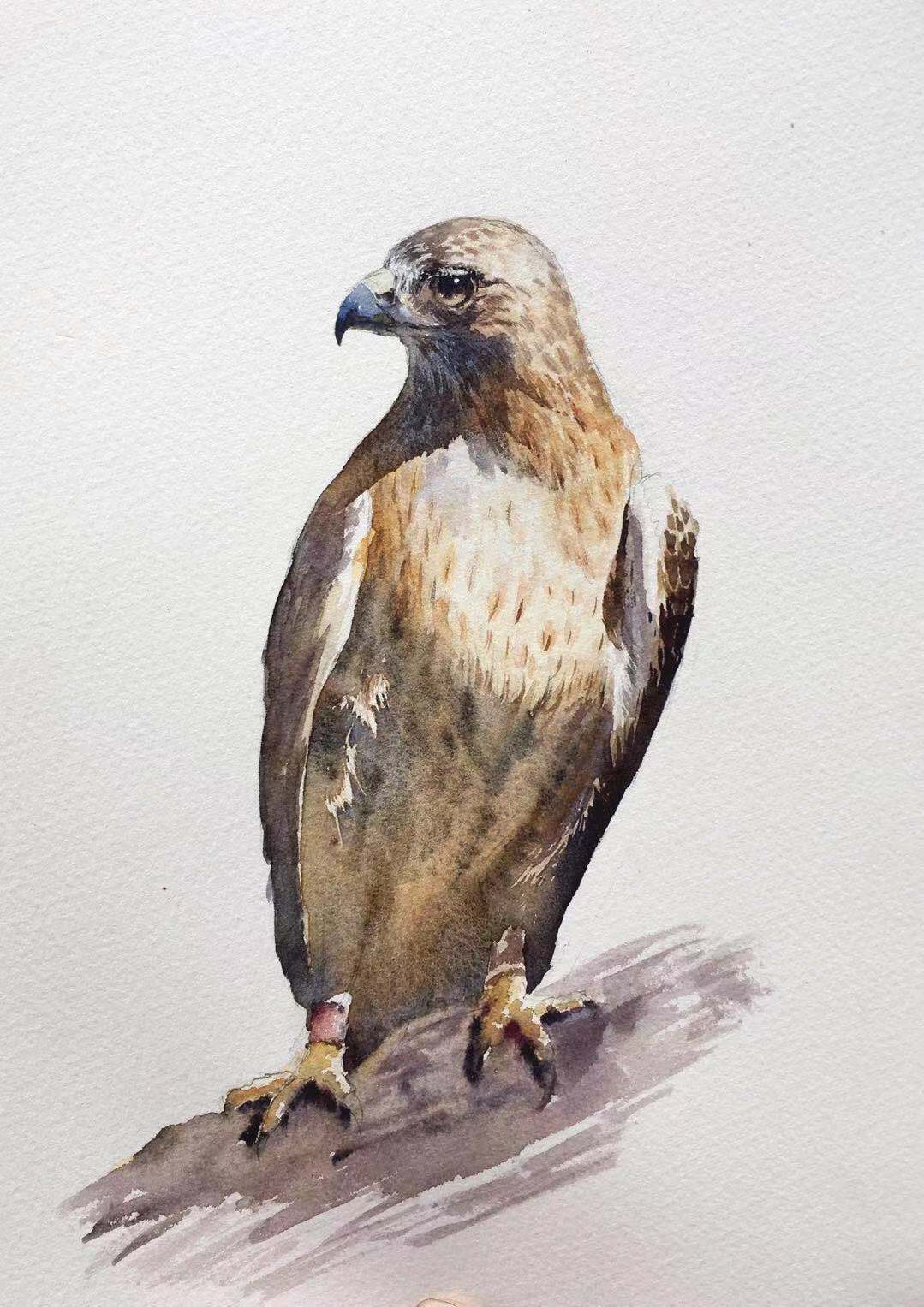 舍_阿钧Seven-站酷ZCOOL