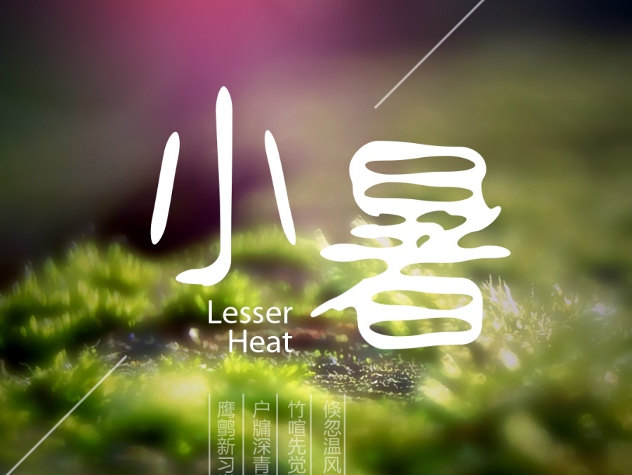 小暑——Lesser Heat_tdzy-站酷ZCOOL