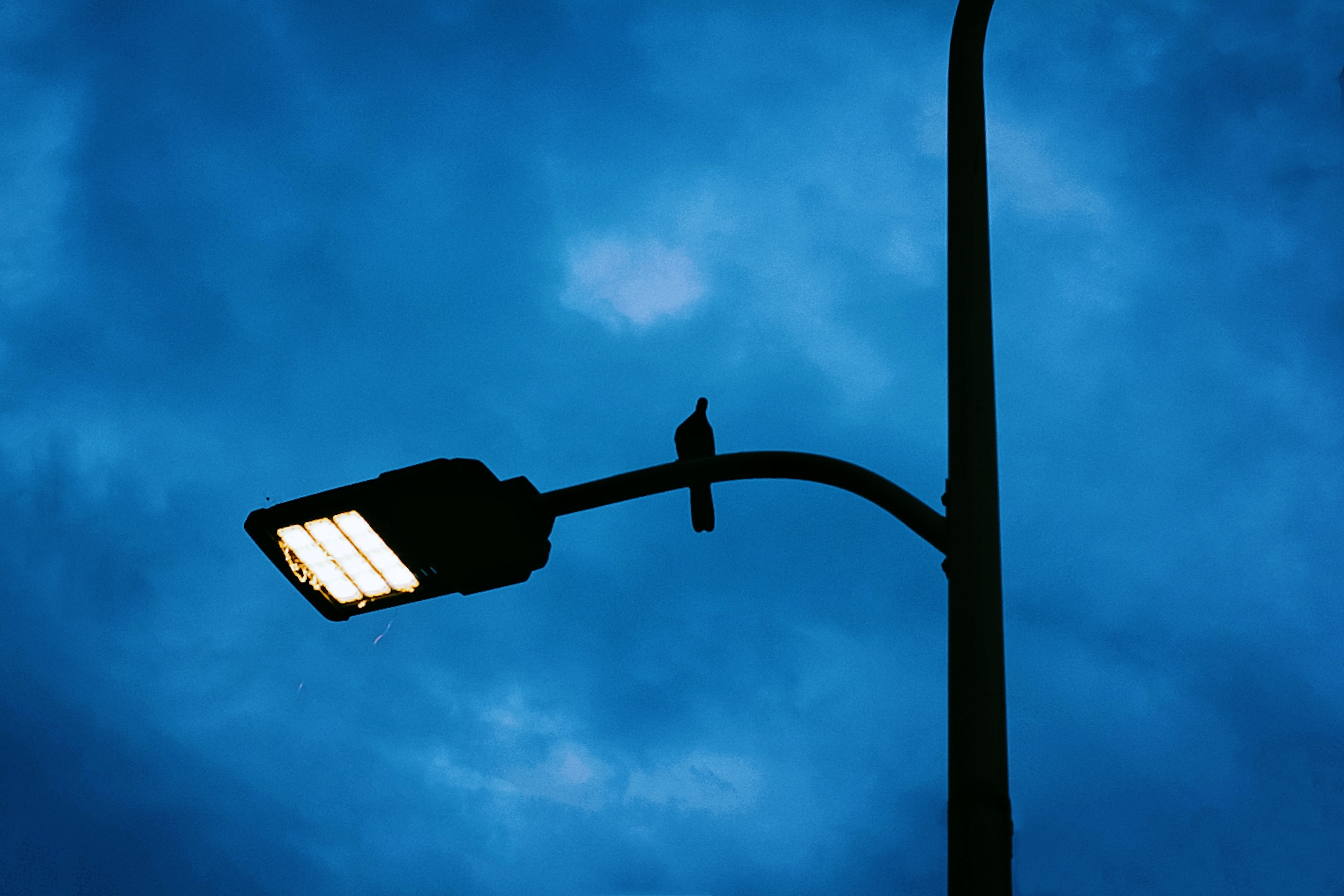 黑夜使者_咸鱼尺八-站酷ZCOOL