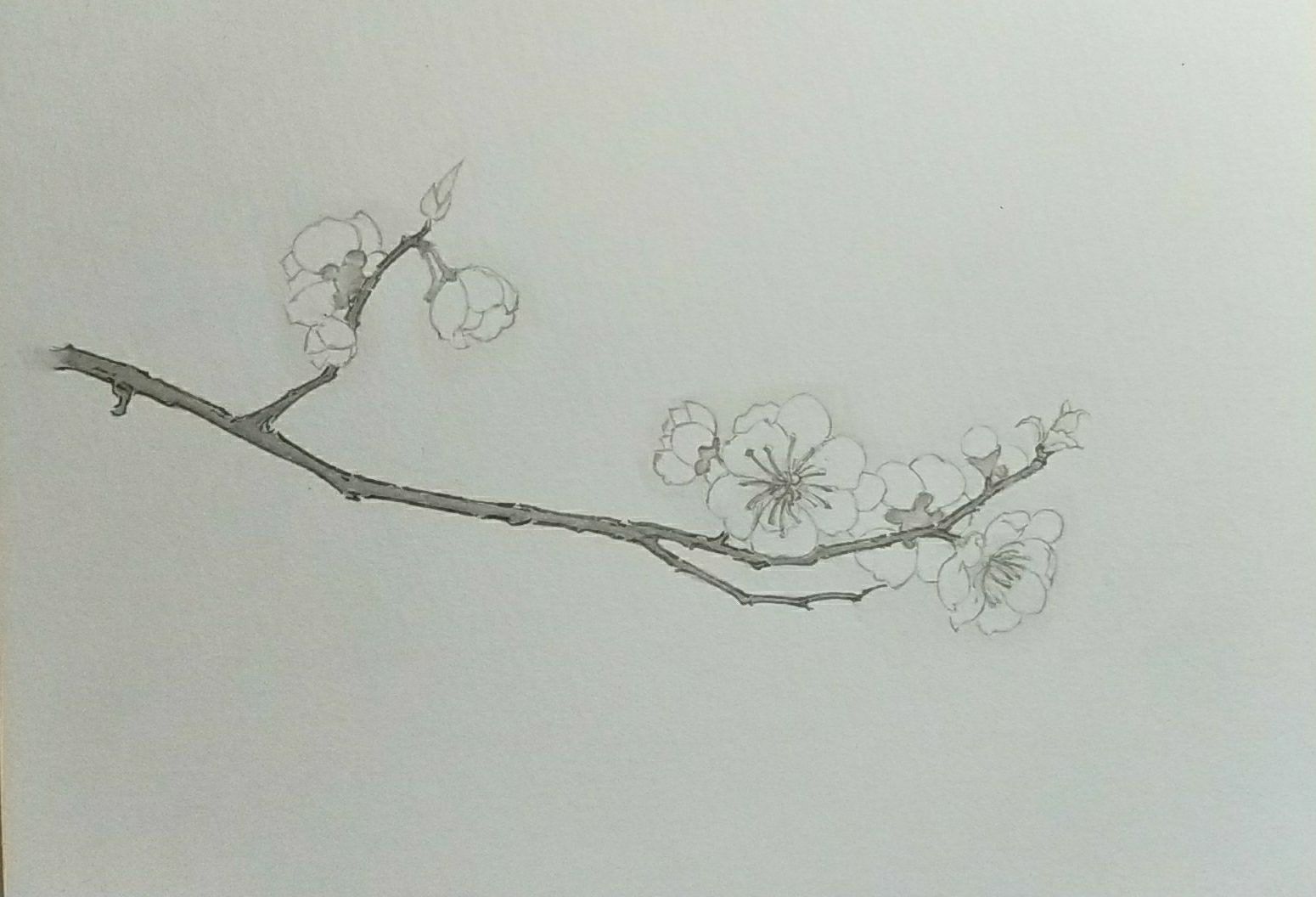 习作_叶靓790508-站酷ZCOOL