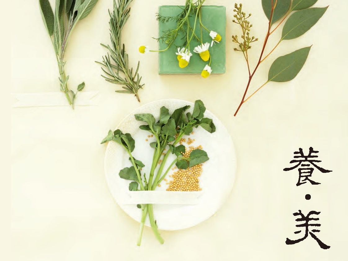 LOHAS佰草集别册_愁容骑士777-站酷ZCOOL