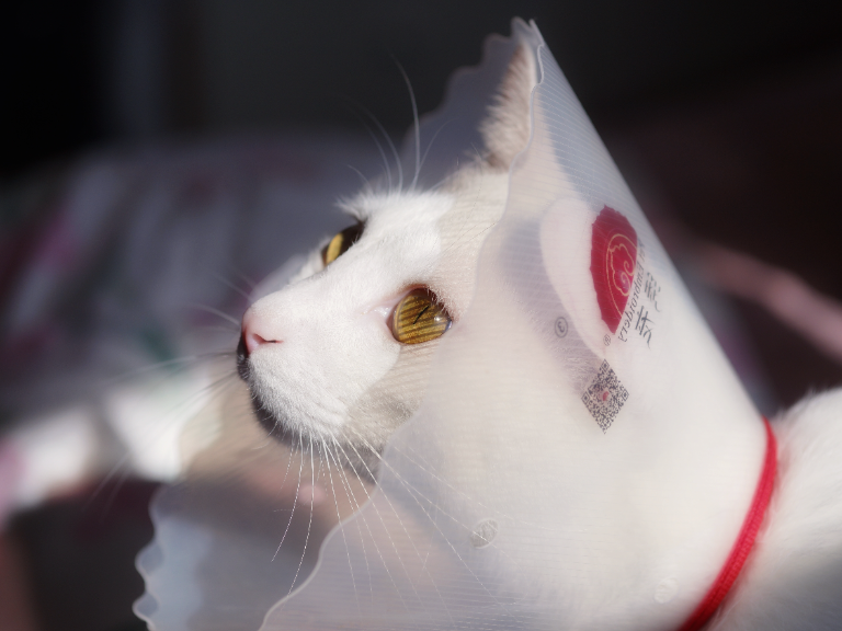 漫画式的条纹阴影_MAYOOOoo-站酷ZCOOL