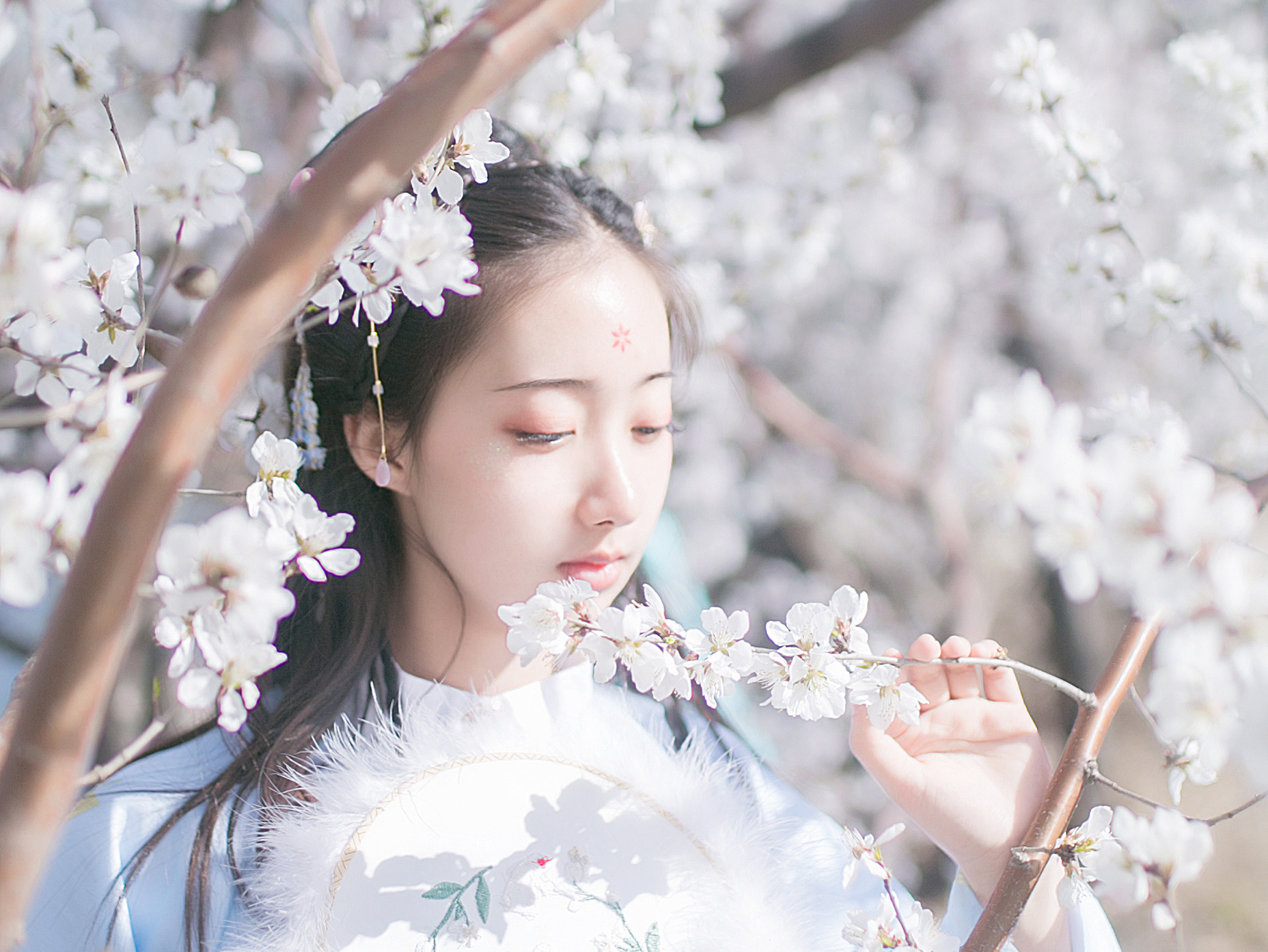 花雨_电波Nancy-站酷ZCOOL