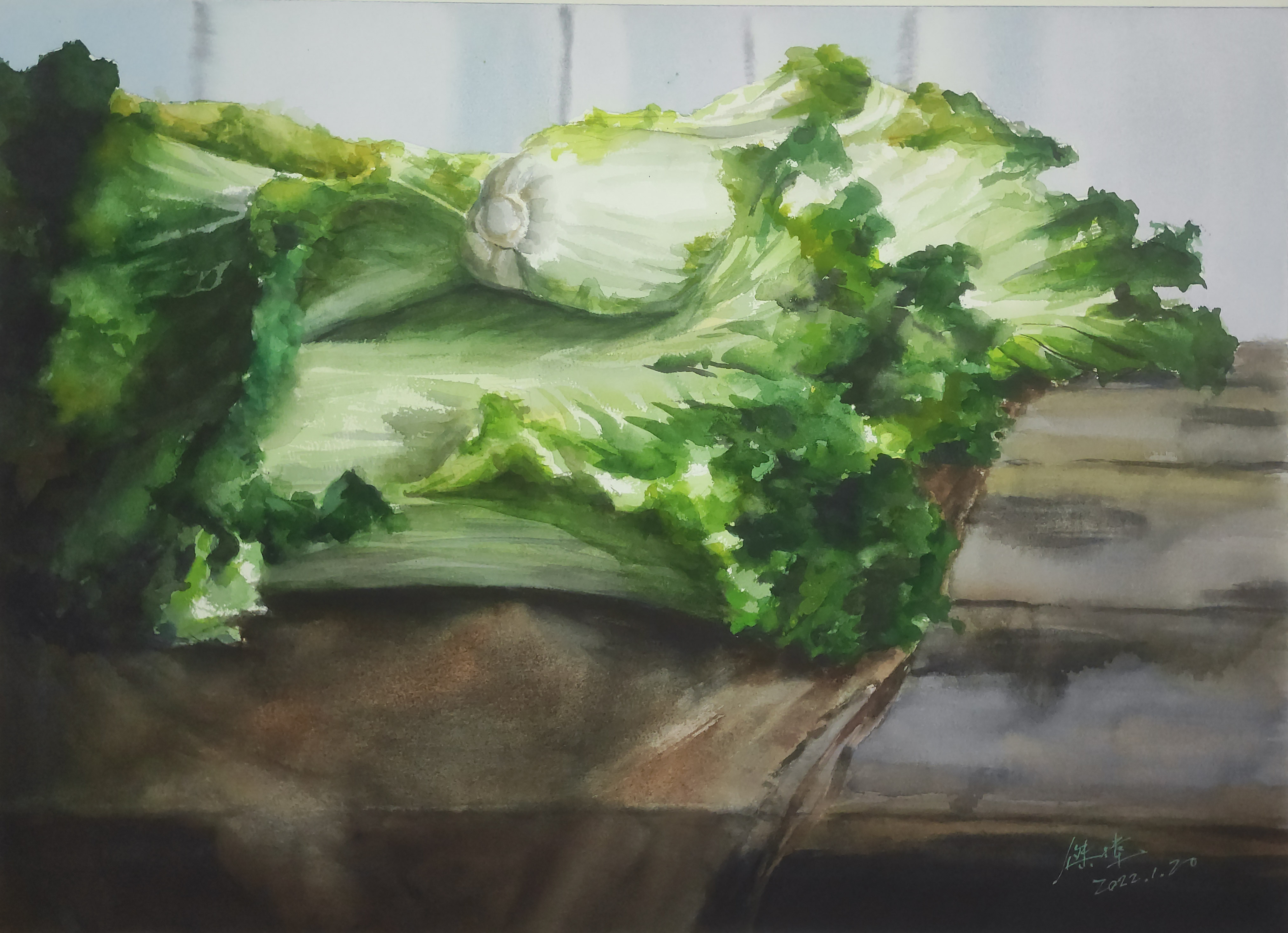 白菜_阿伟584488-站酷ZCOOL