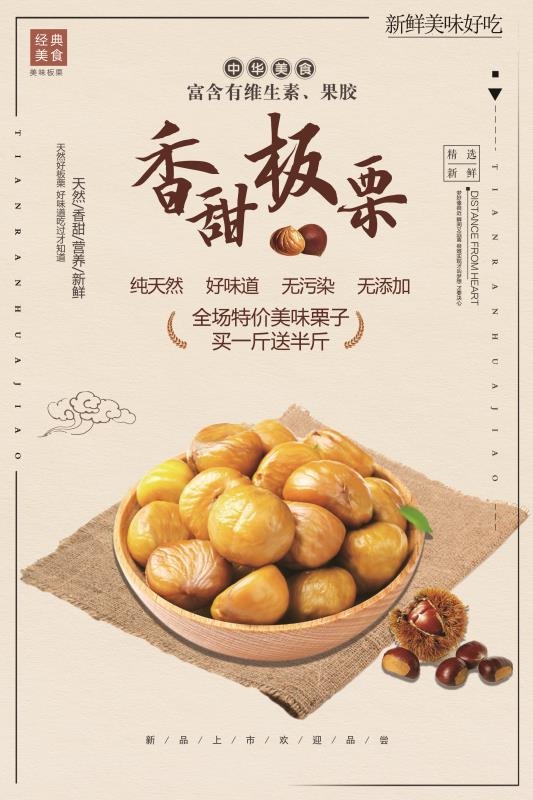 板栗海报_松杉0304-站酷ZCOOL