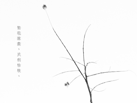 “繁华落盡，只剩枯枝”_Damon_摄影工作室-站酷ZCOOL