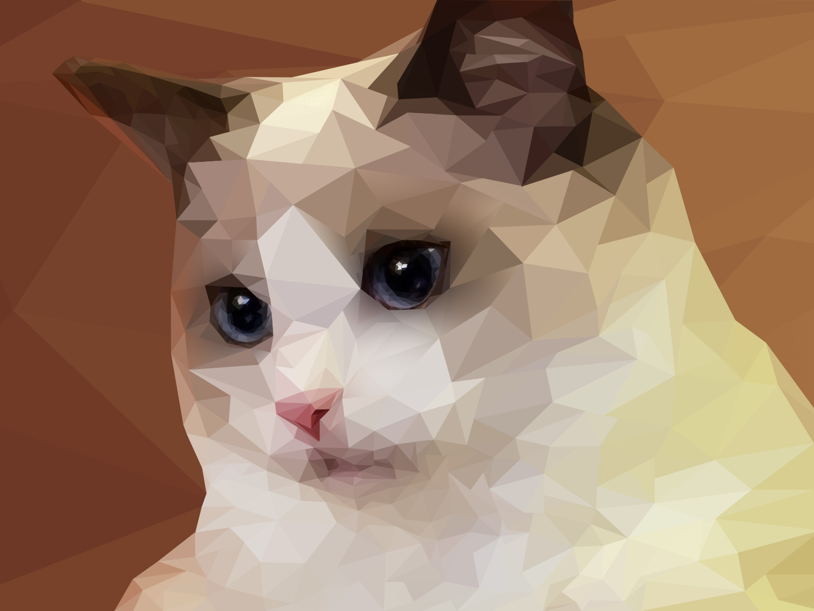 Low-poly cat_STwheat-站酷ZCOOL