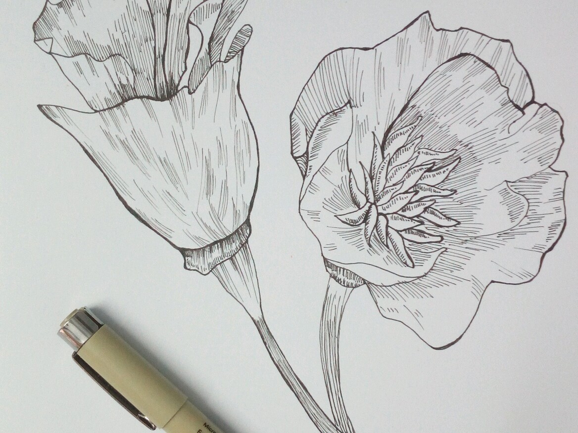 黑白装饰画_Nemo_G-站酷ZCOOL