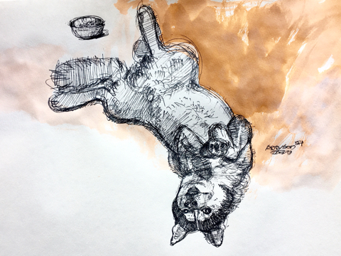 【老愛裝萌的小皮皮】_addysoho-站酷ZCOOL