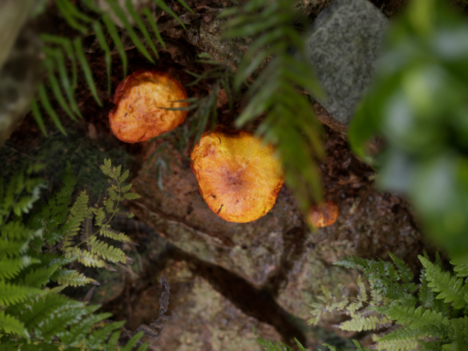 ue4场景练习_Ranny李-站酷ZCOOL