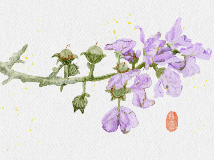 上半年作品集_大脸昱-站酷ZCOOL