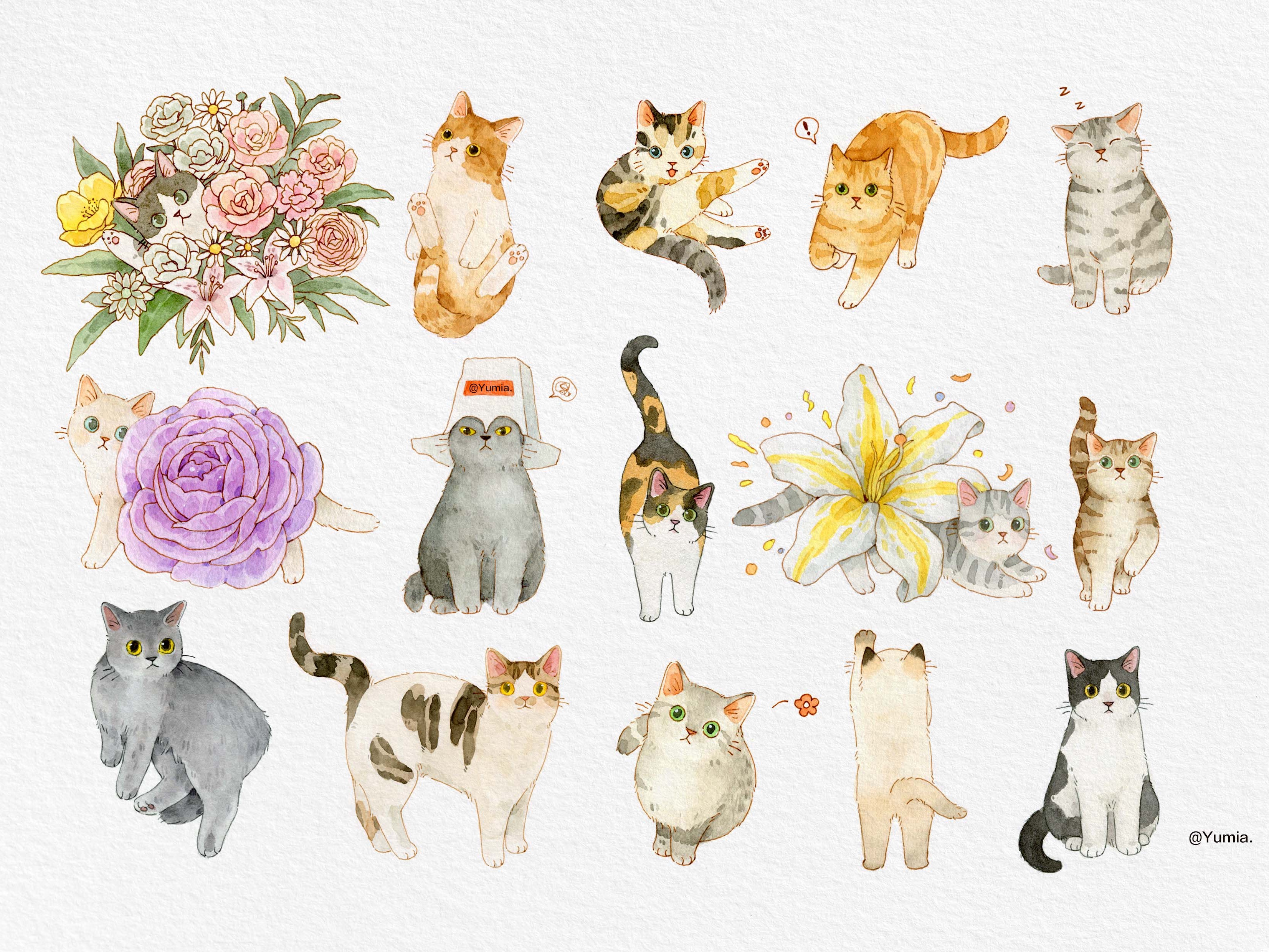 水彩猫咪_玉米呀yumia-站酷ZCOOL