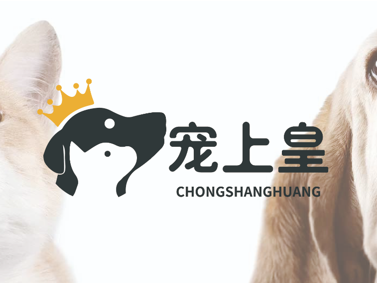 宠上皇_你是哪个村的猪-站酷ZCOOL