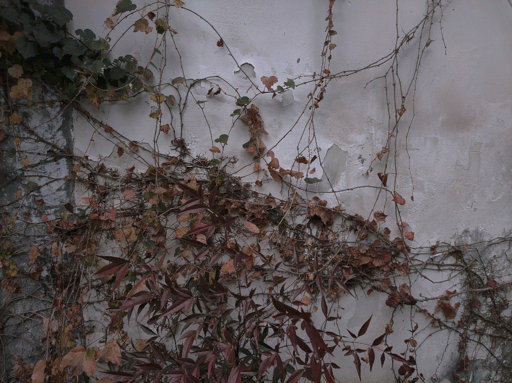 风景_Blue丶T-站酷ZCOOL