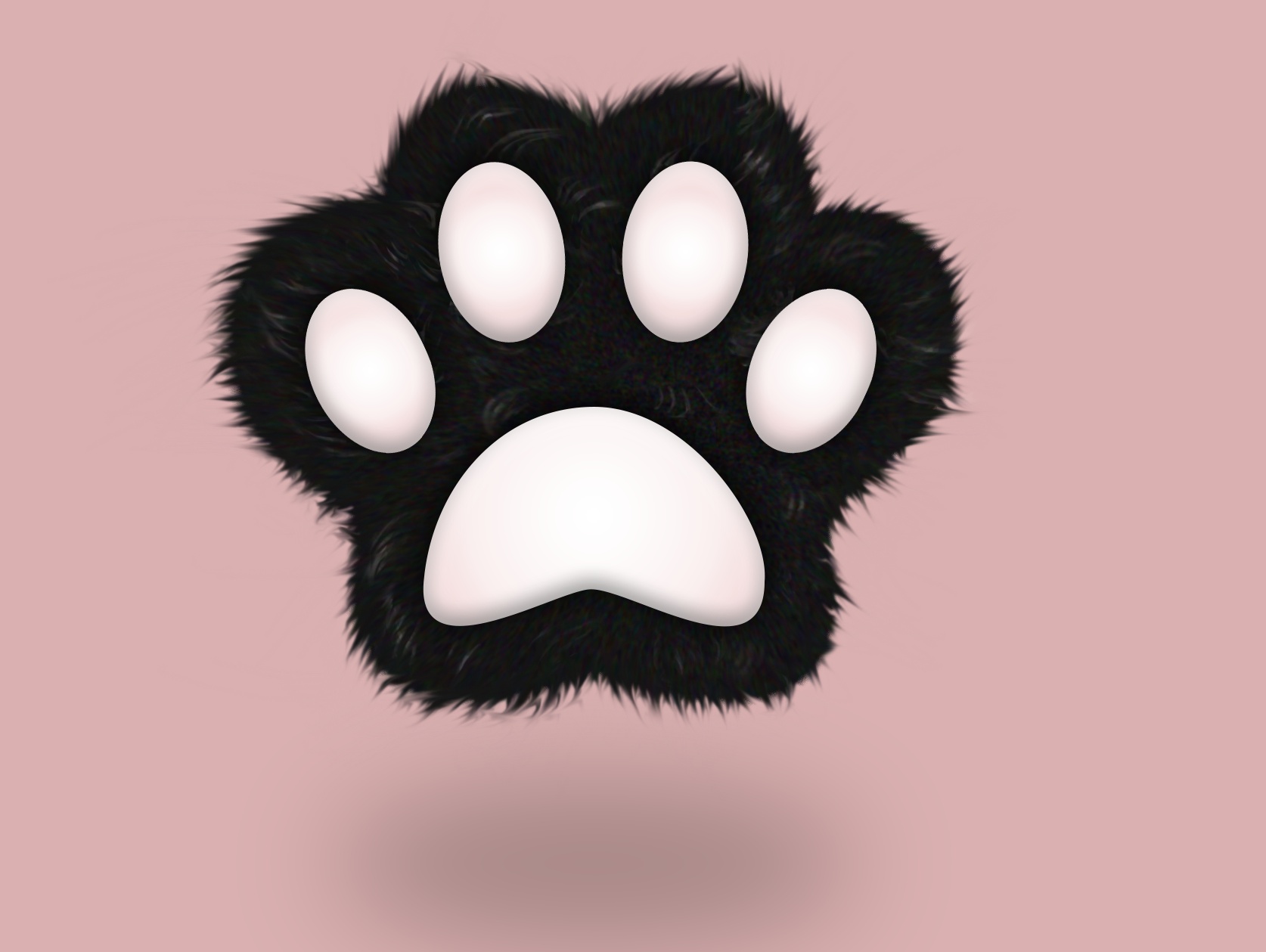 绘制熊掌_Lacey_Li-站酷ZCOOL