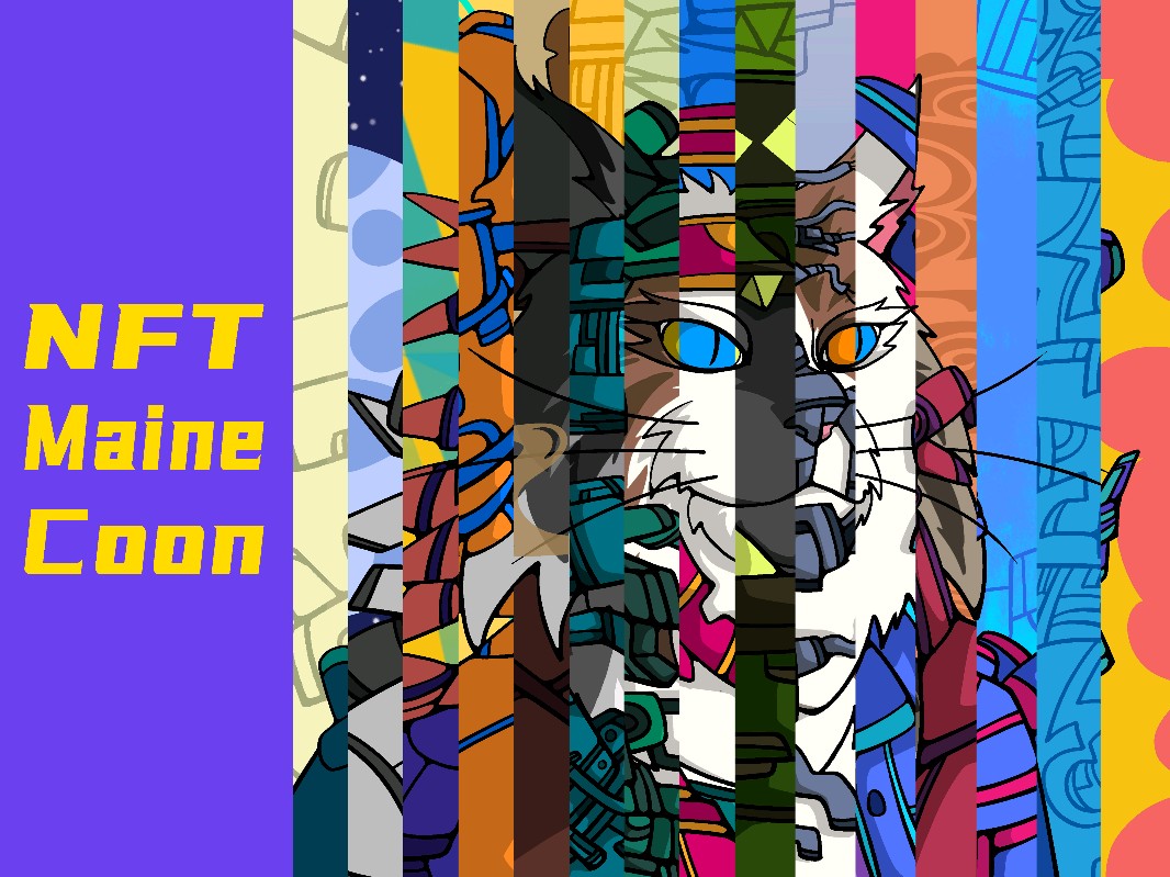 NFT—「Maine coon」缅因猫系列_可闹好了-站酷ZCOOL