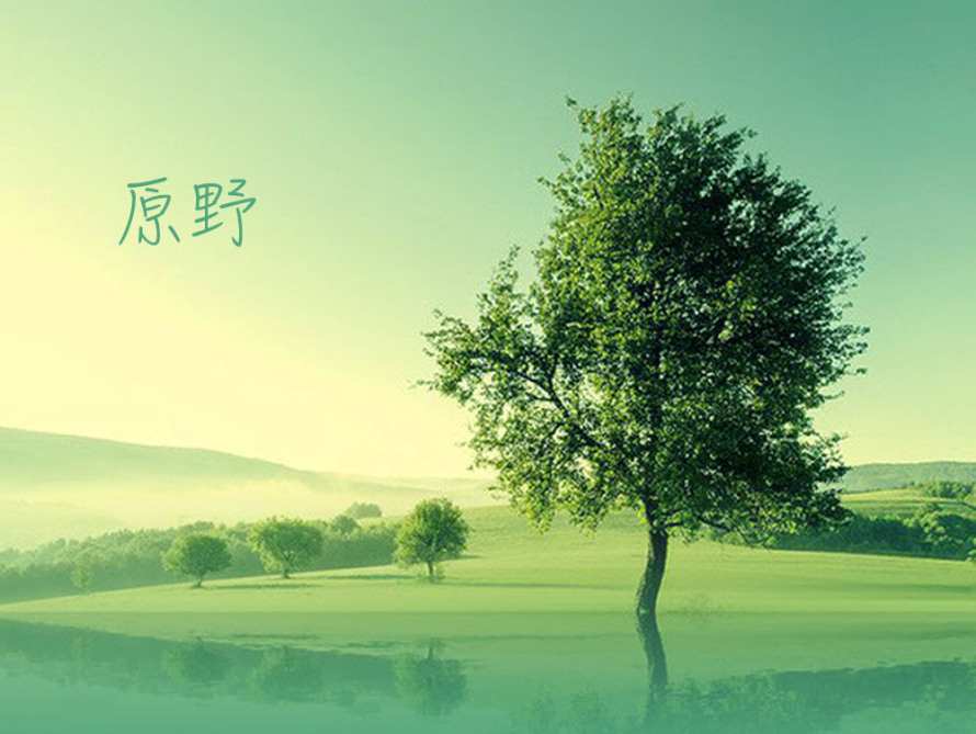 原野_Tiny婷-站酷ZCOOL