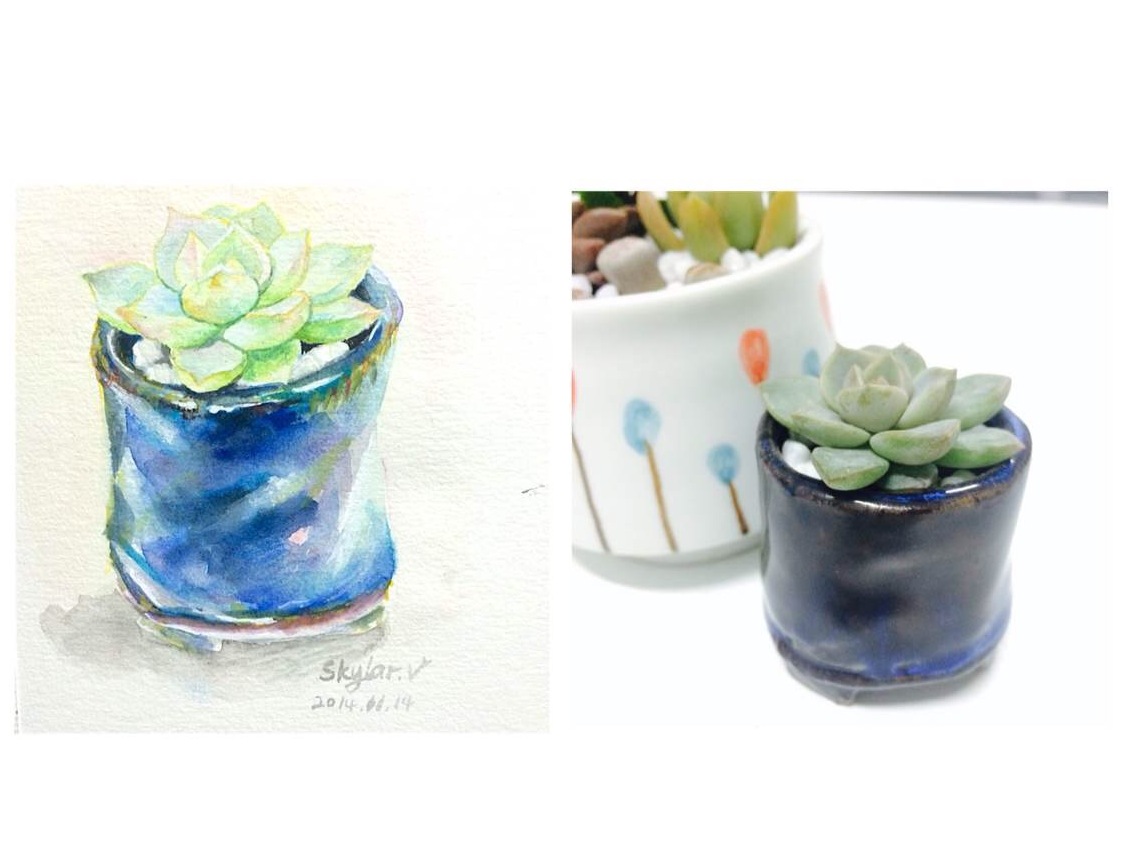 好多肉~~（水彩多肉植物）_羊小V_Skylar-站酷ZCOOL