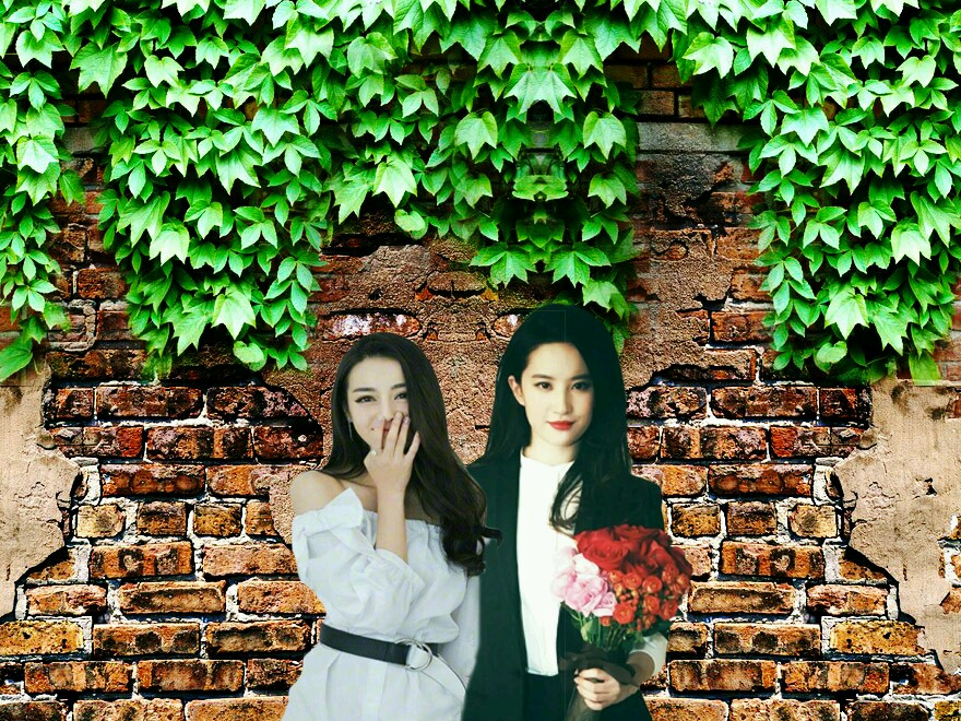 帝妃CP_热爱广告的鱼-站酷ZCOOL