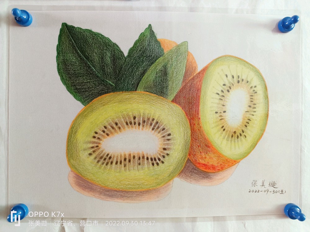 《猕猴桃》彩铅作品_拿下22世纪-站酷ZCOOL