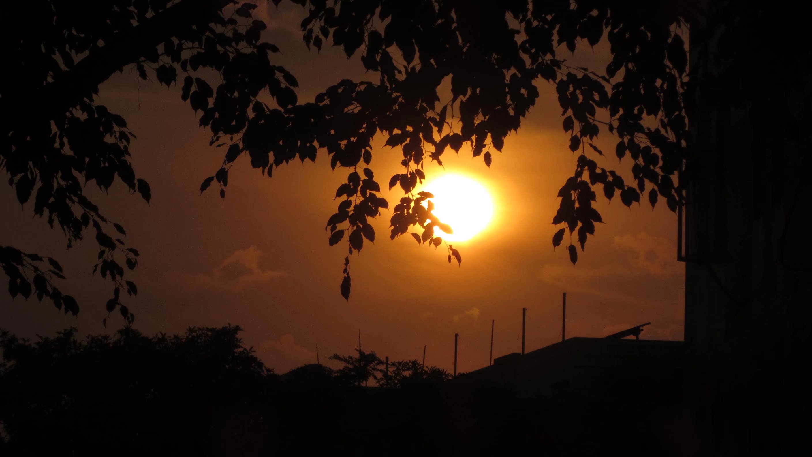 影子灰舞落日_Z656164136-站酷ZCOOL