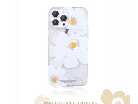 春夏秋海棠_余兆东-站酷ZCOOL