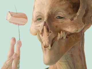 宠爱_阿鲱AFei_wlx-站酷ZCOOL