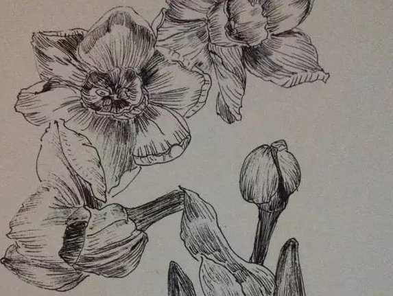 这些年的临摹作品_学画画的yuna-站酷ZCOOL