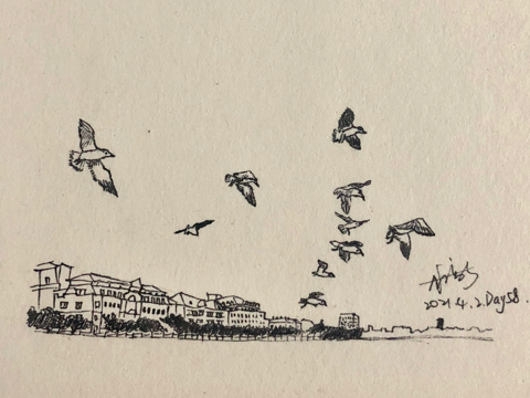 翔_yumi尤米-站酷ZCOOL