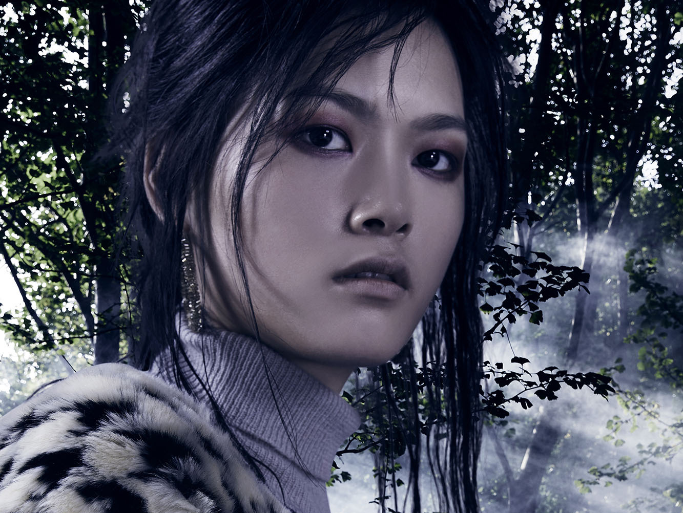 梦幻森林摄影_素材网站_图片免费下载-ZCOOL站酷