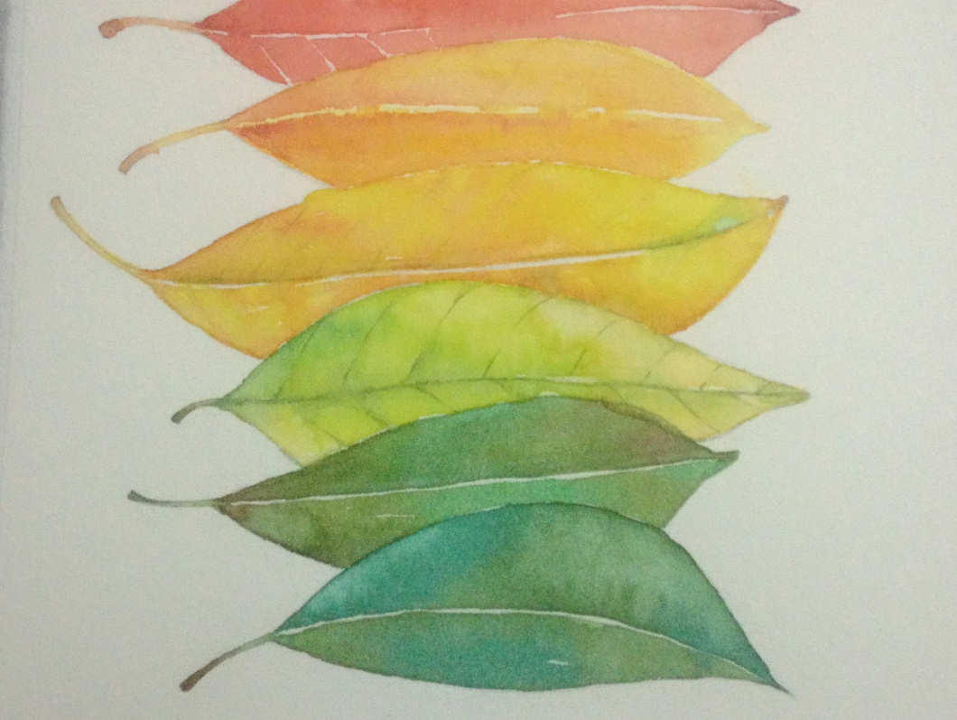 水彩练习_夏木萌-站酷ZCOOL