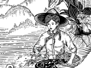 版画练习_西豆Xido-站酷ZCOOL