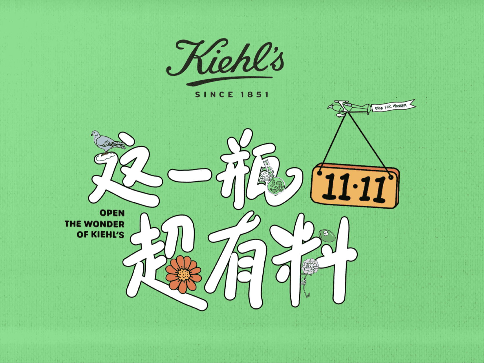 AE动画｜科颜氏双11广告·活力大使上线_二宫uu-站酷ZCOOL