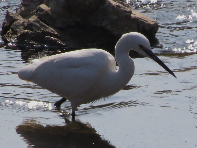 捕鱼时刻_五毛君-站酷ZCOOL