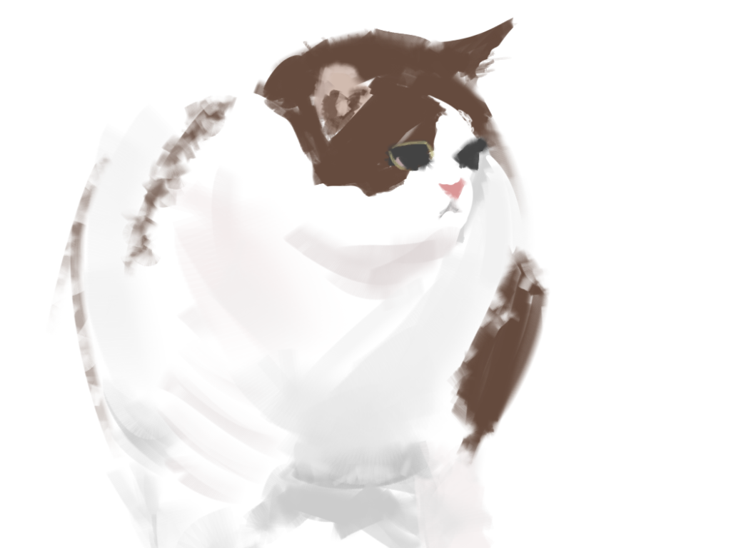 冬日插画6-猫_angerula-站酷ZCOOL