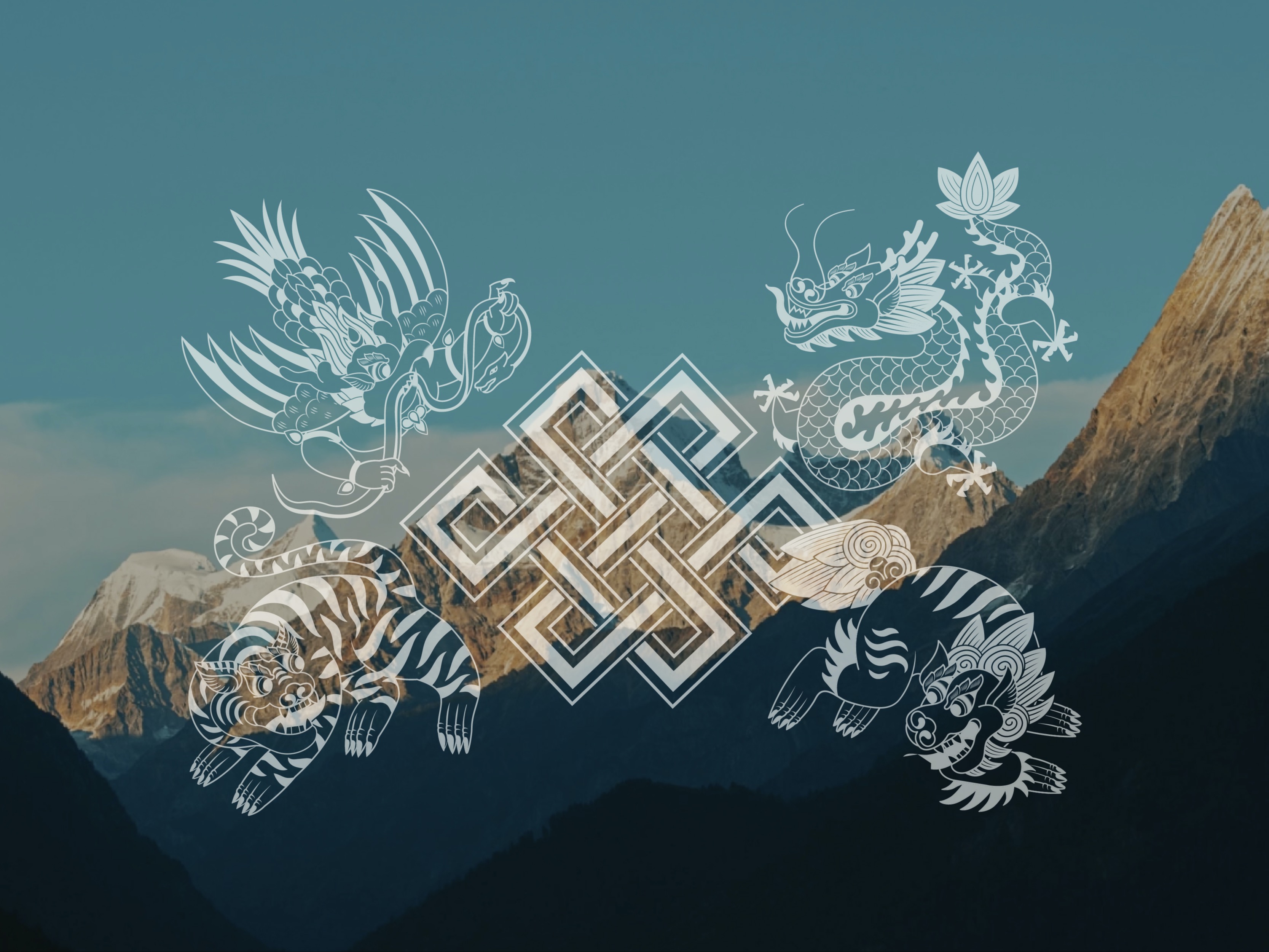 CHALI茶里&松赞限量联名茶礼_TushiDesign-站酷ZCOOL