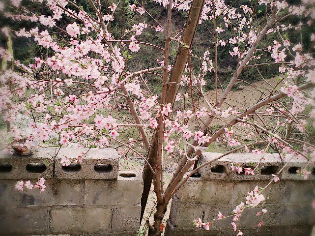 猫的九日慵懒_ang寂dr-站酷ZCOOL