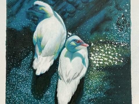 鸭鸭练习_Aron_C-站酷ZCOOL