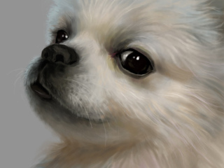 PUPPY_阿鲱AFei_wlx-站酷ZCOOL