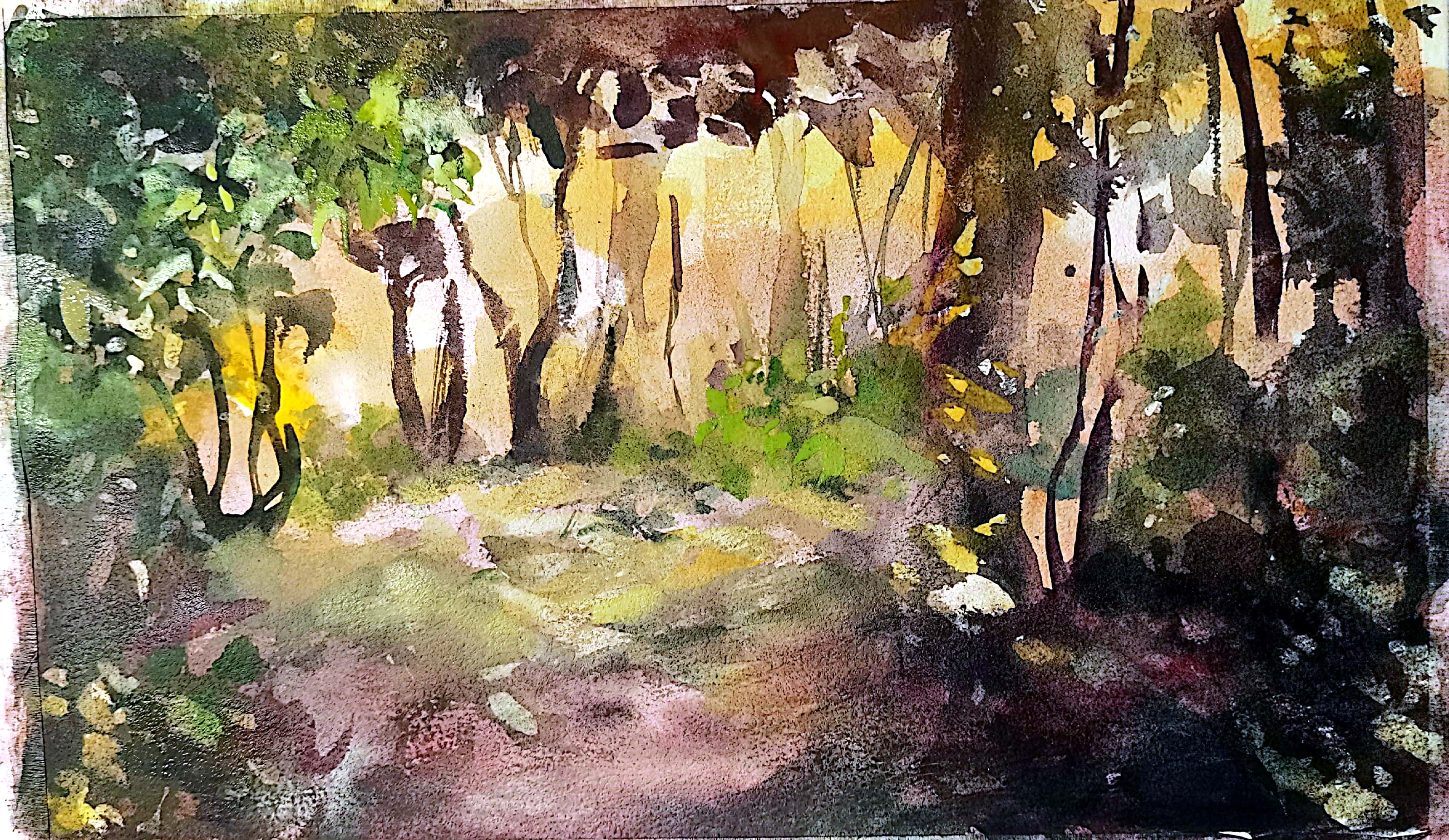 秘境_李诗音lsy-站酷ZCOOL