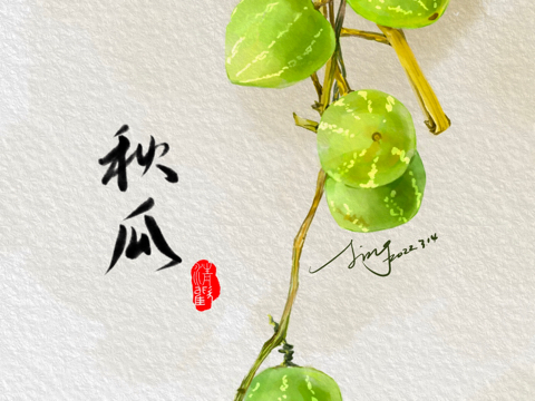 秋瓜_鲸鱼游森林-站酷ZCOOL