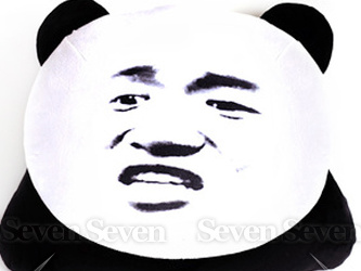 搞笑表情包熊猫抱枕-张学友_77动漫acg-站酷ZCOOL