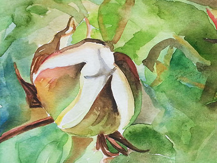 《棉花》_zhl1988-站酷ZCOOL