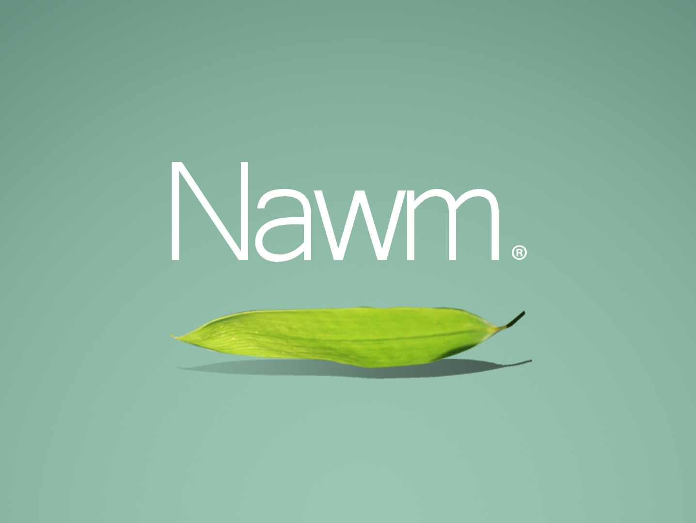 NAWM Branding_nawm-站酷ZCOOL