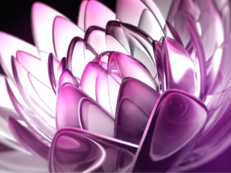 荷花绽放_临摹_Tina_lsm-站酷ZCOOL