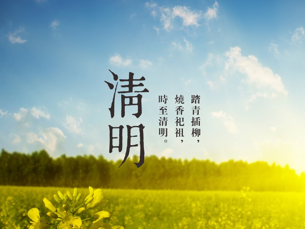 节气海报 清明 复活节 谷雨_Zyc_333-站酷ZCOOL