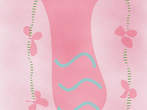 原创治愈系插画～litchi beer_惠小美-站酷ZCOOL