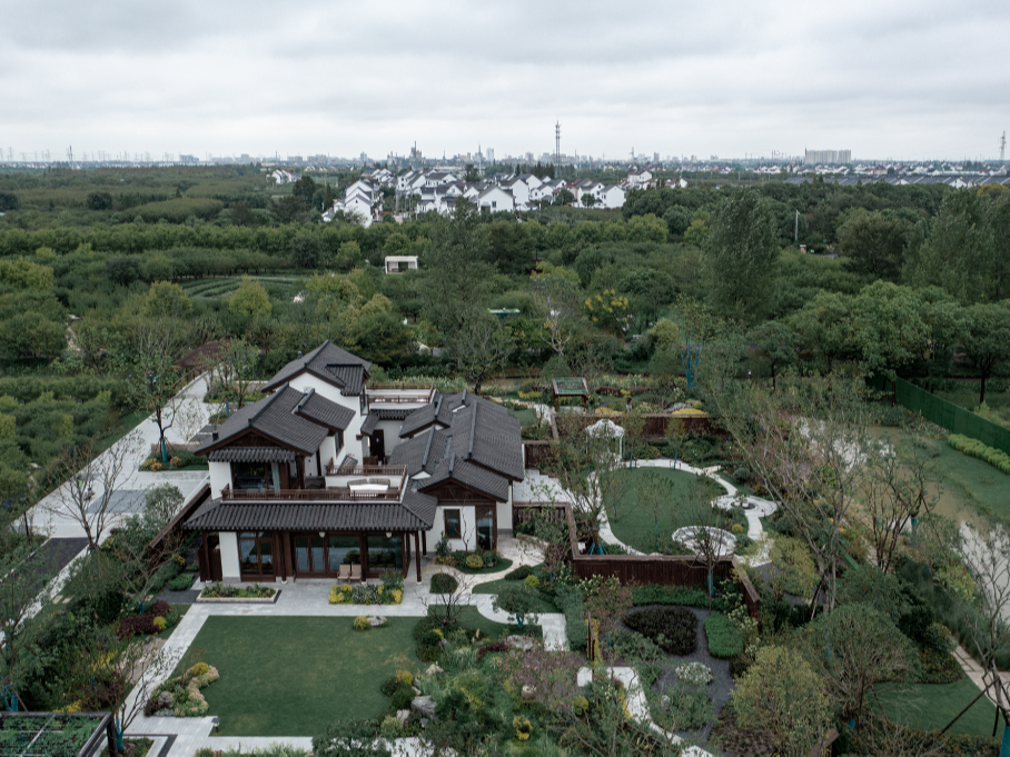 上海金山芳香小镇_忙碌的孙工-站酷ZCOOL